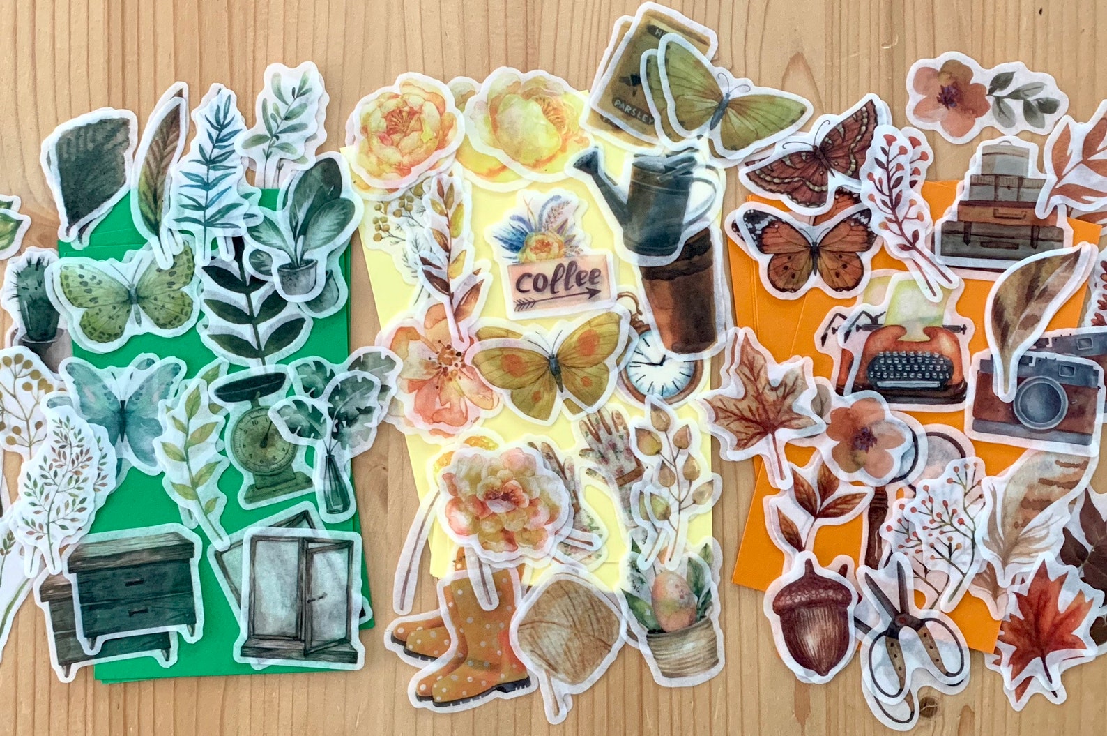 Nature Journal Stickers. Ephemera. Set of 40 Vellum Washi | Etsy