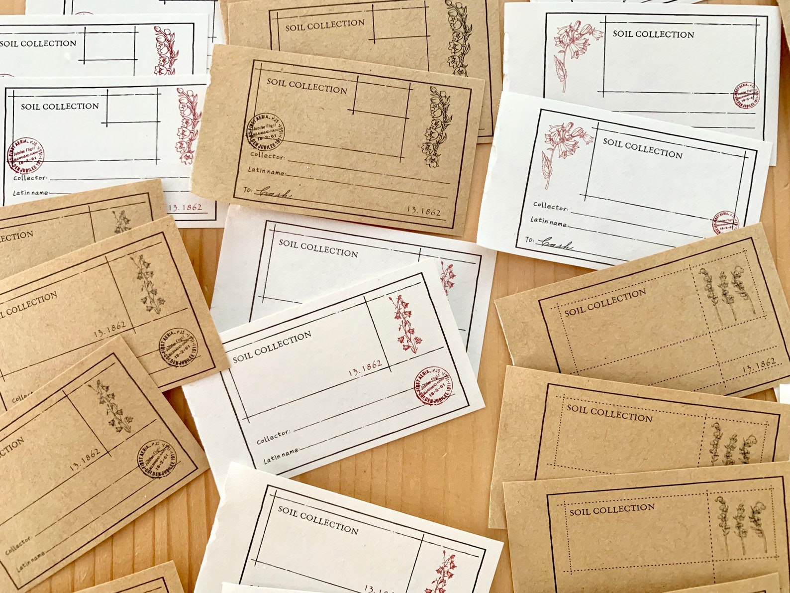 Botanical Ephemera Set. 100 Pieces of Assorted MINI Field - Etsy