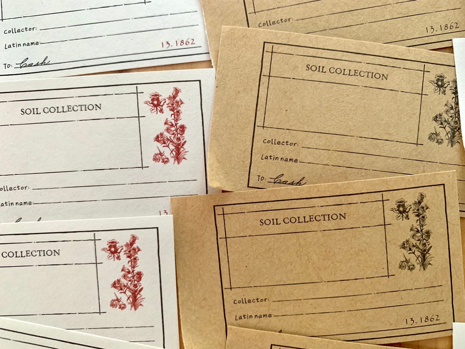 Botanical Ephemera Set. 100 Pieces of Assorted MINI Field - Etsy