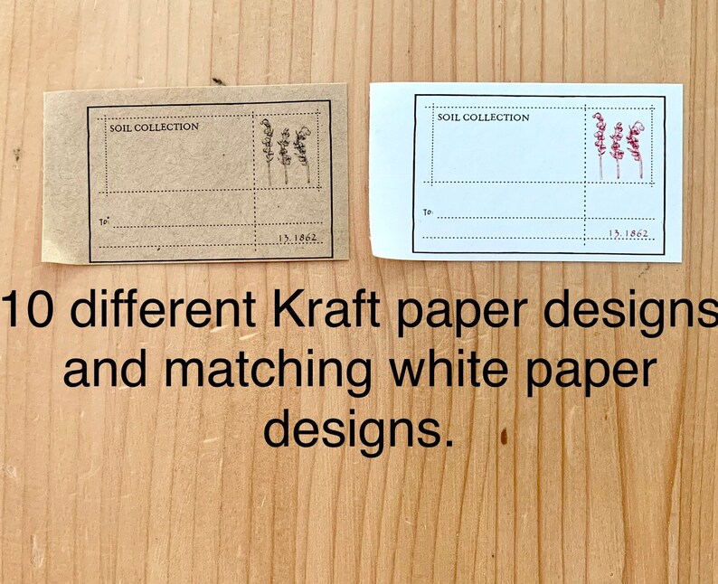 Botanical Ephemera Set. 100 Pieces of Assorted MINI Field - Etsy