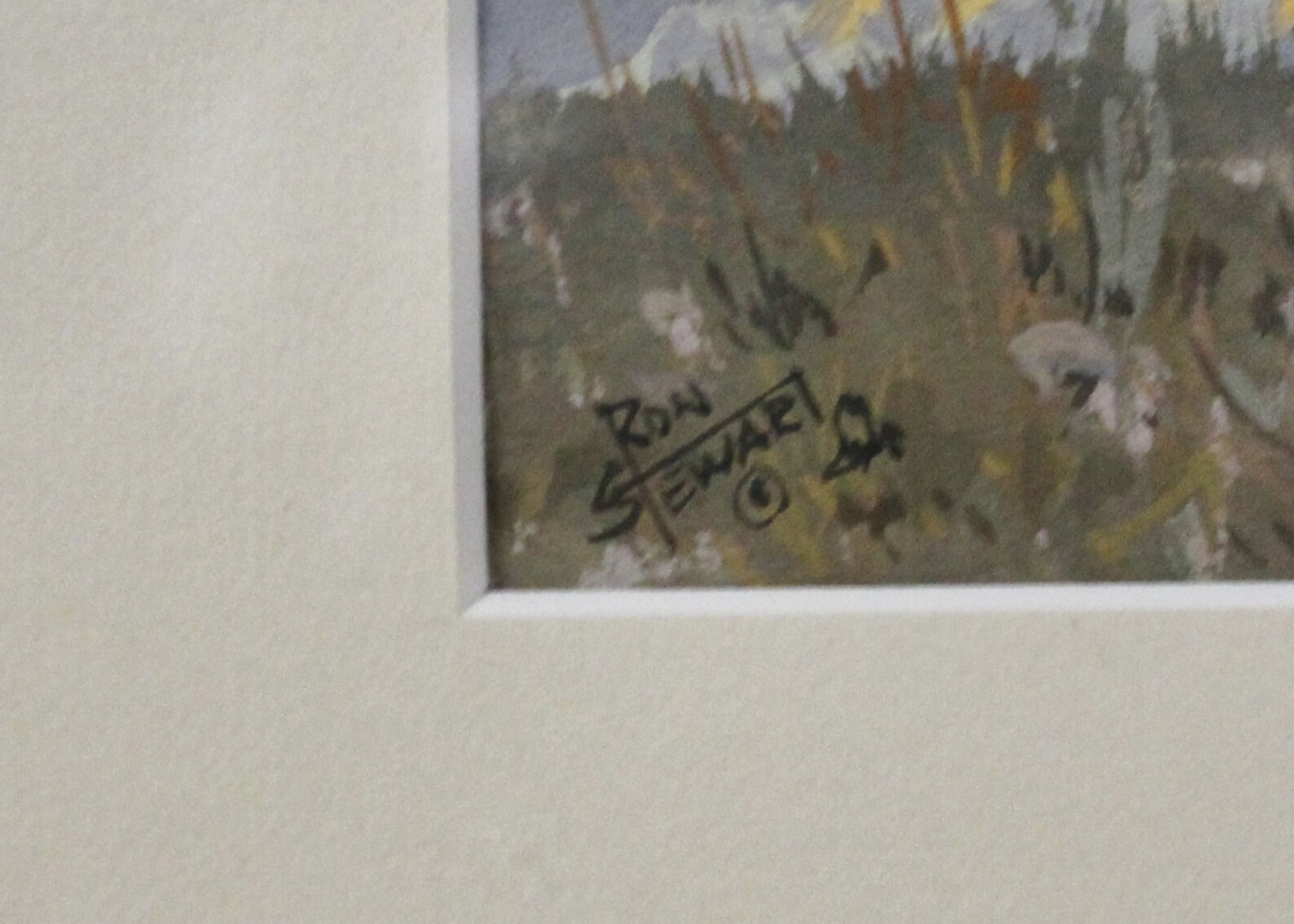 Ron Stewart: Western Artist, Ron Stewart "mounted Indian", Water Color ...