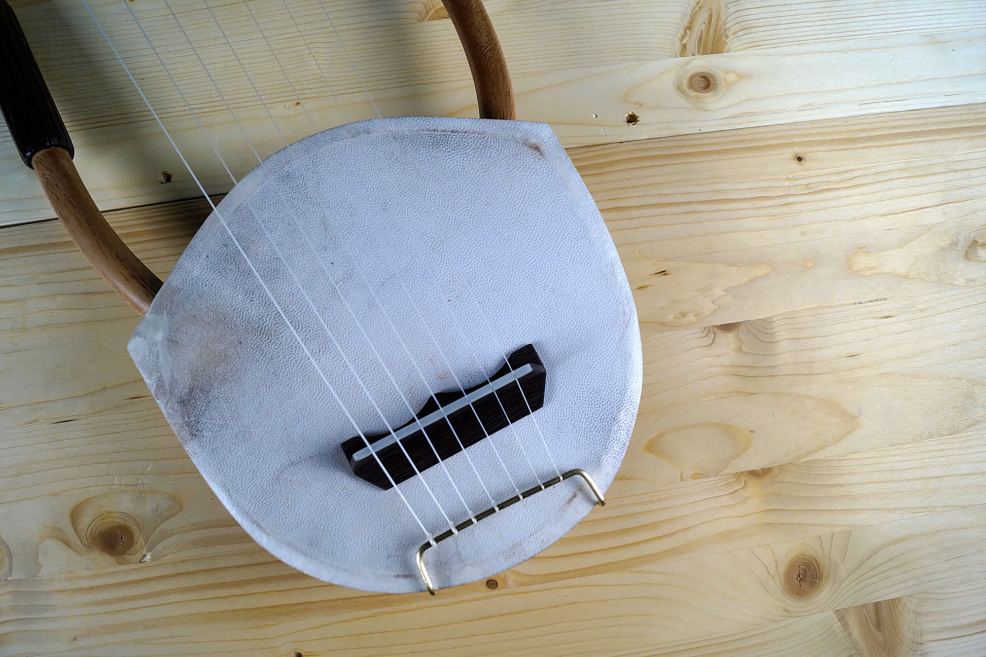 The Lyre of Aphrodite Ancient Greek Chelys Lyre 7 strings | Etsy