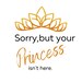 Princess Stickers, Clipart, Goodnotes, Digital Planner, Journal - Etsy