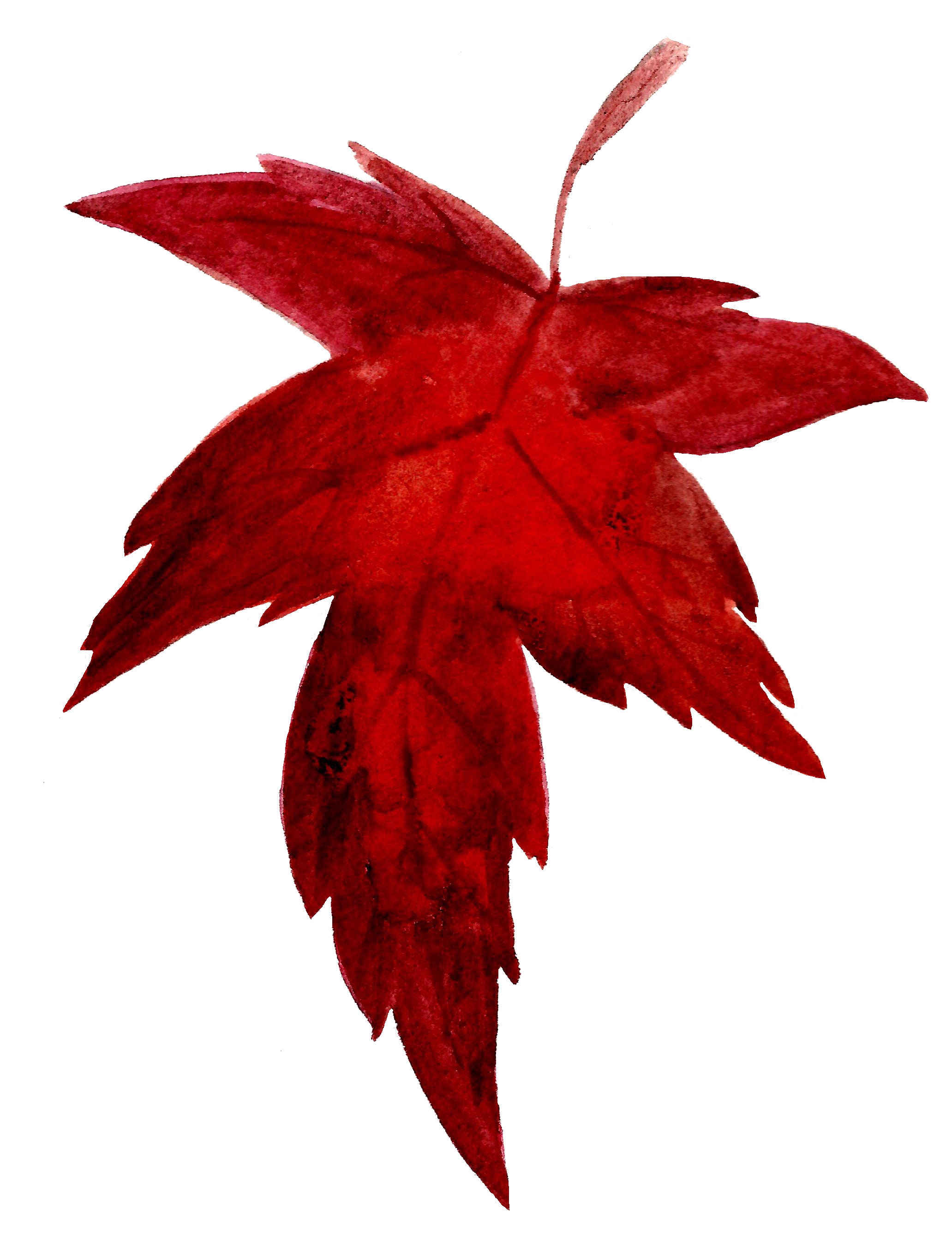 Fall Leaves Clipart Watercolor Digital Download Handpainted Fall Leaves ...