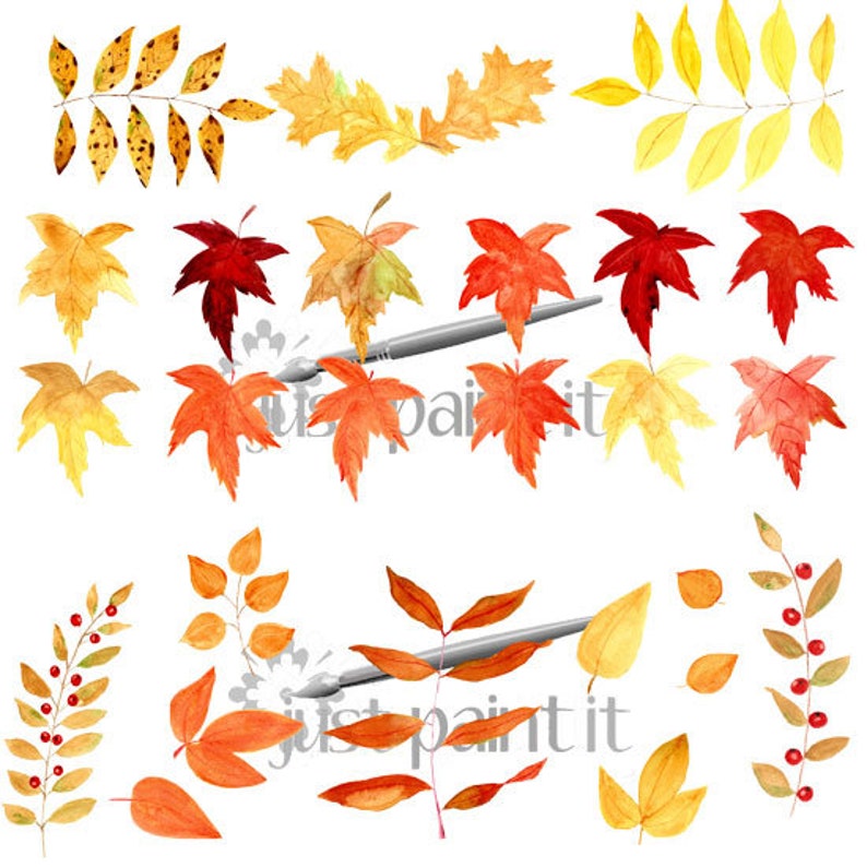 Fall Leaves Clipart Watercolor Digital Download Handpainted Fall Leaves ...