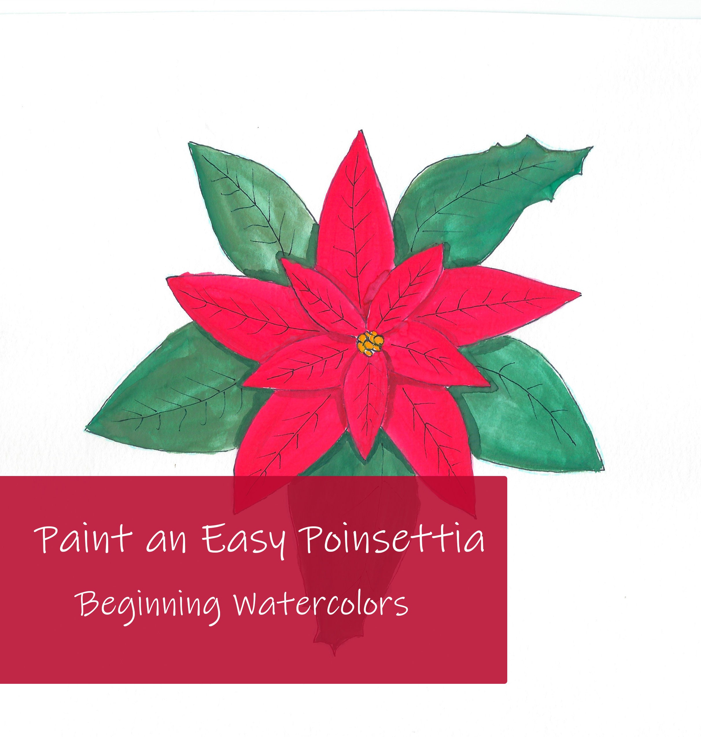 Simple Poinsettia Drawing