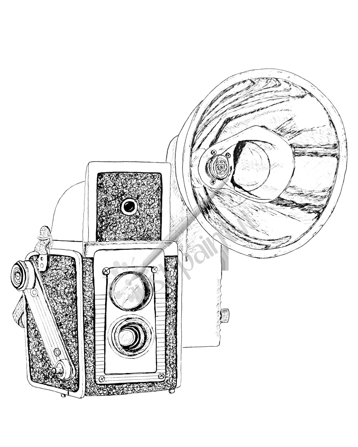 Vintage Camera Pen and Ink Print Drawing Old Camera Drawing - Etsy