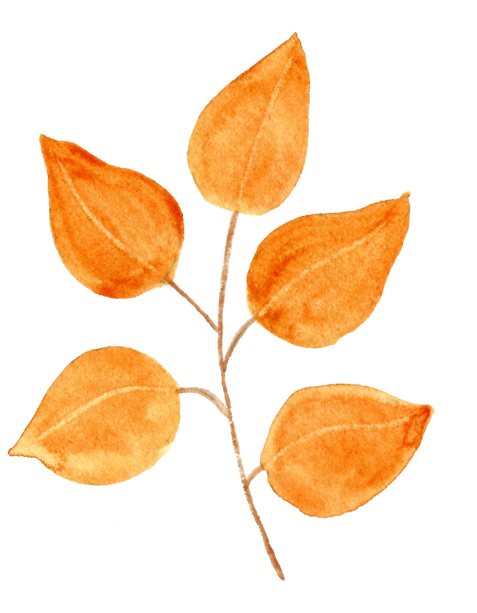 Fall Leaves Clipart Watercolor Digital Download Handpainted Fall Leaves ...