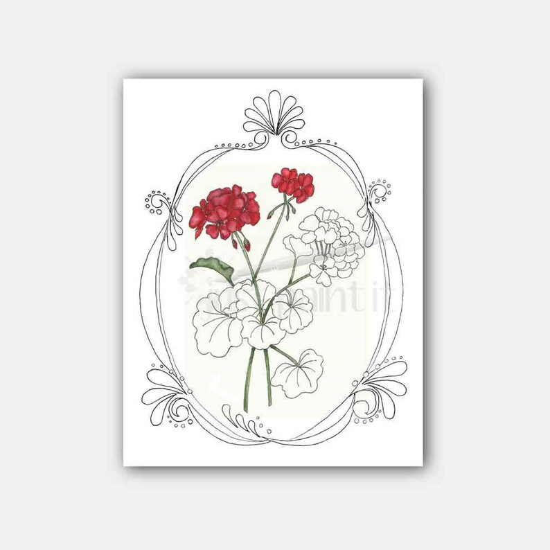 Geraniums Coloring Page Flower Coloring Page Instant Download - Etsy