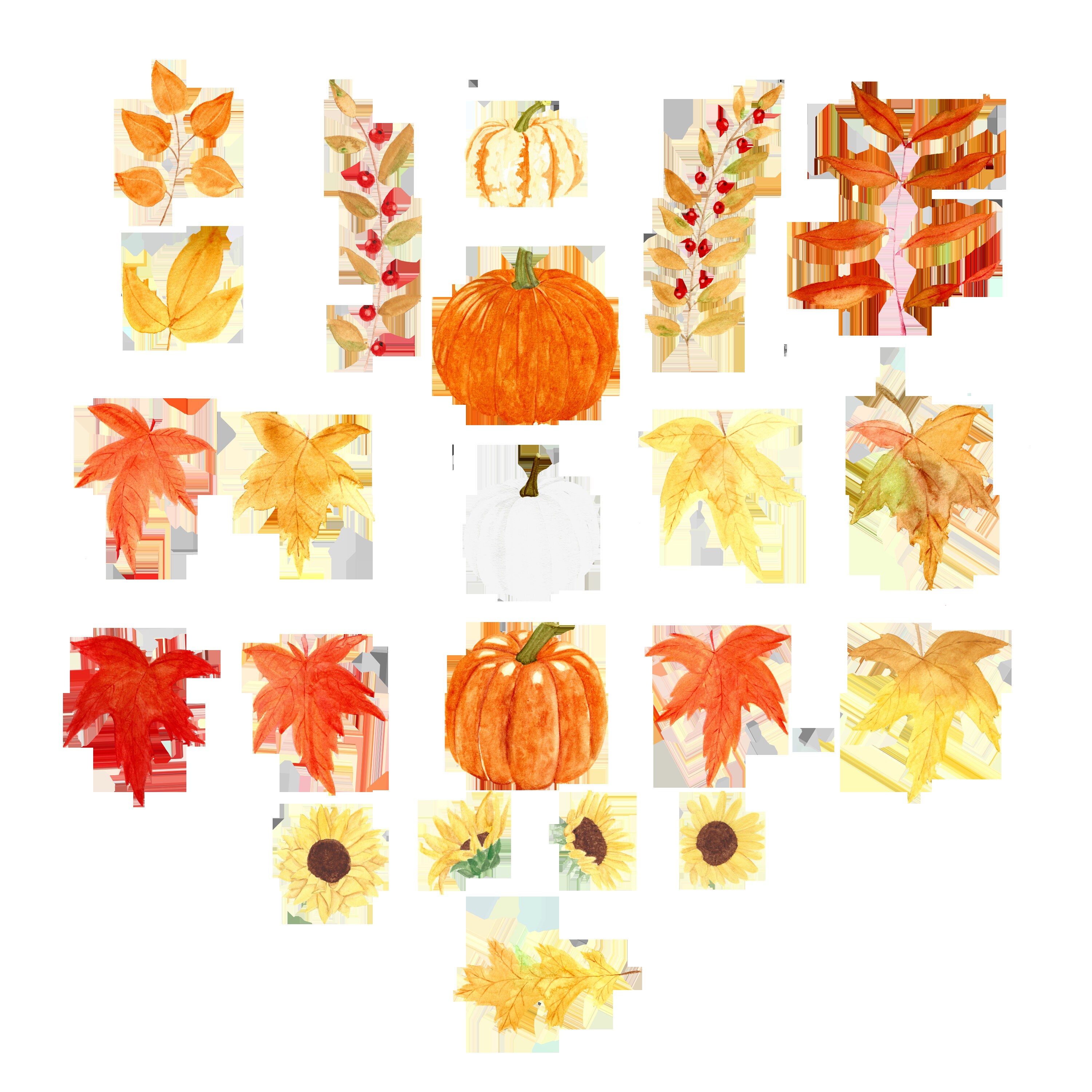 Fall Favorites Watercolor Clipart - Etsy