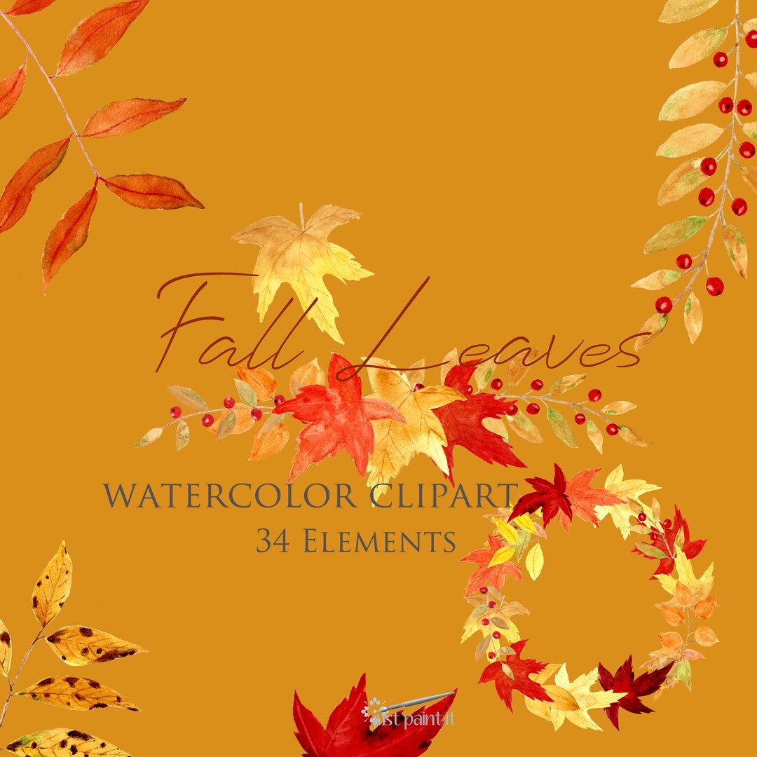 Fall Leaves Clipart Watercolor Autumn Leaves Clipart Fall Berries - Etsy