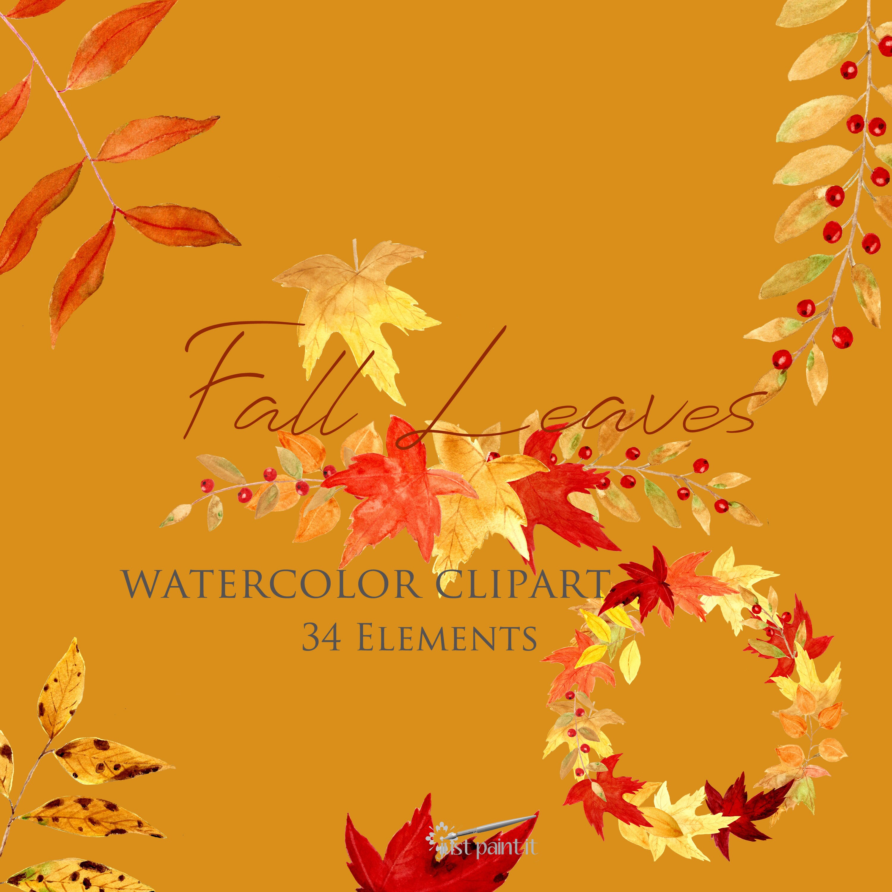 Fall Leaves Clipart Watercolor Autumn Leaves Clipart Fall - Etsy