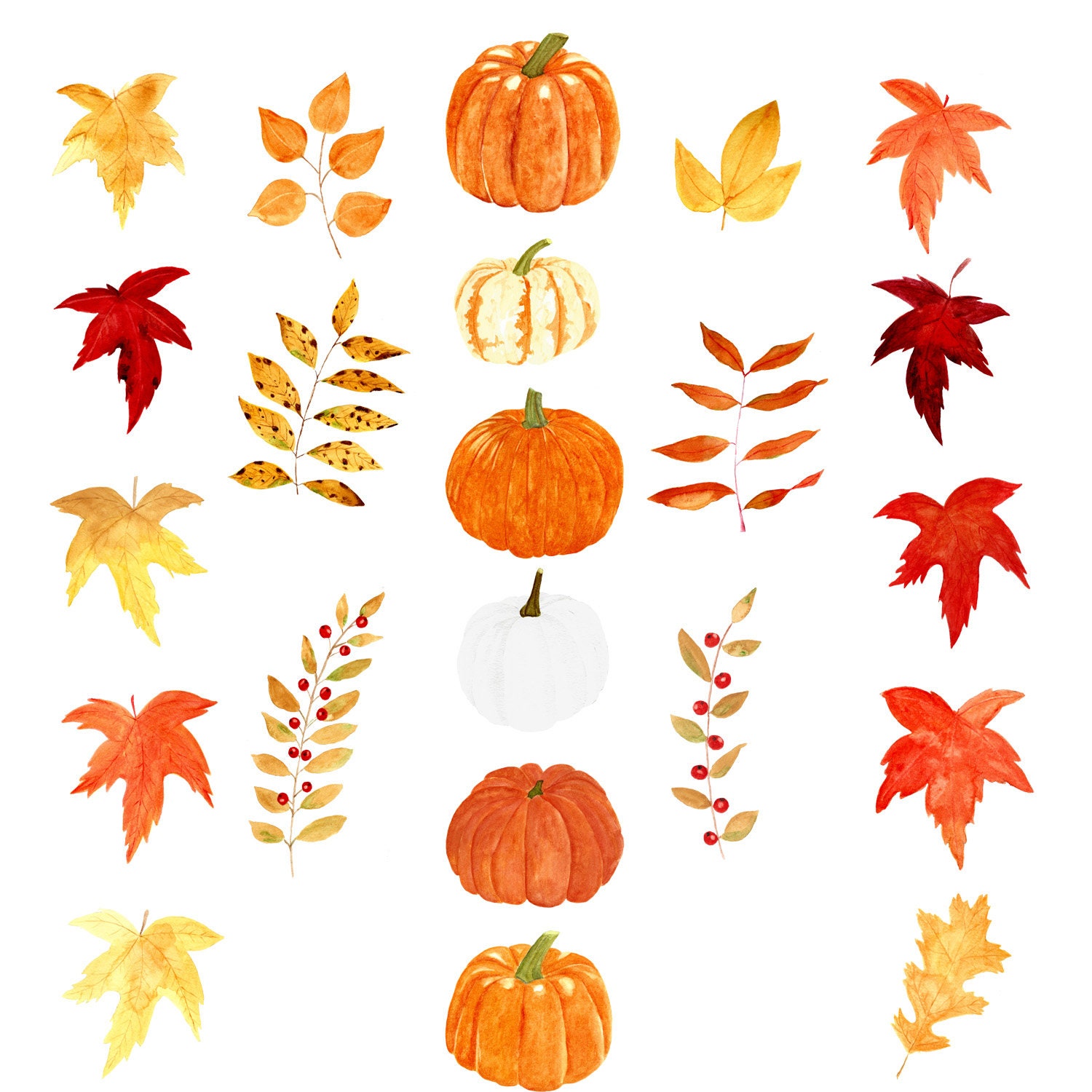 Fall Pumpkins and Leaves Clipart Autumn Leaves Download - Etsy
