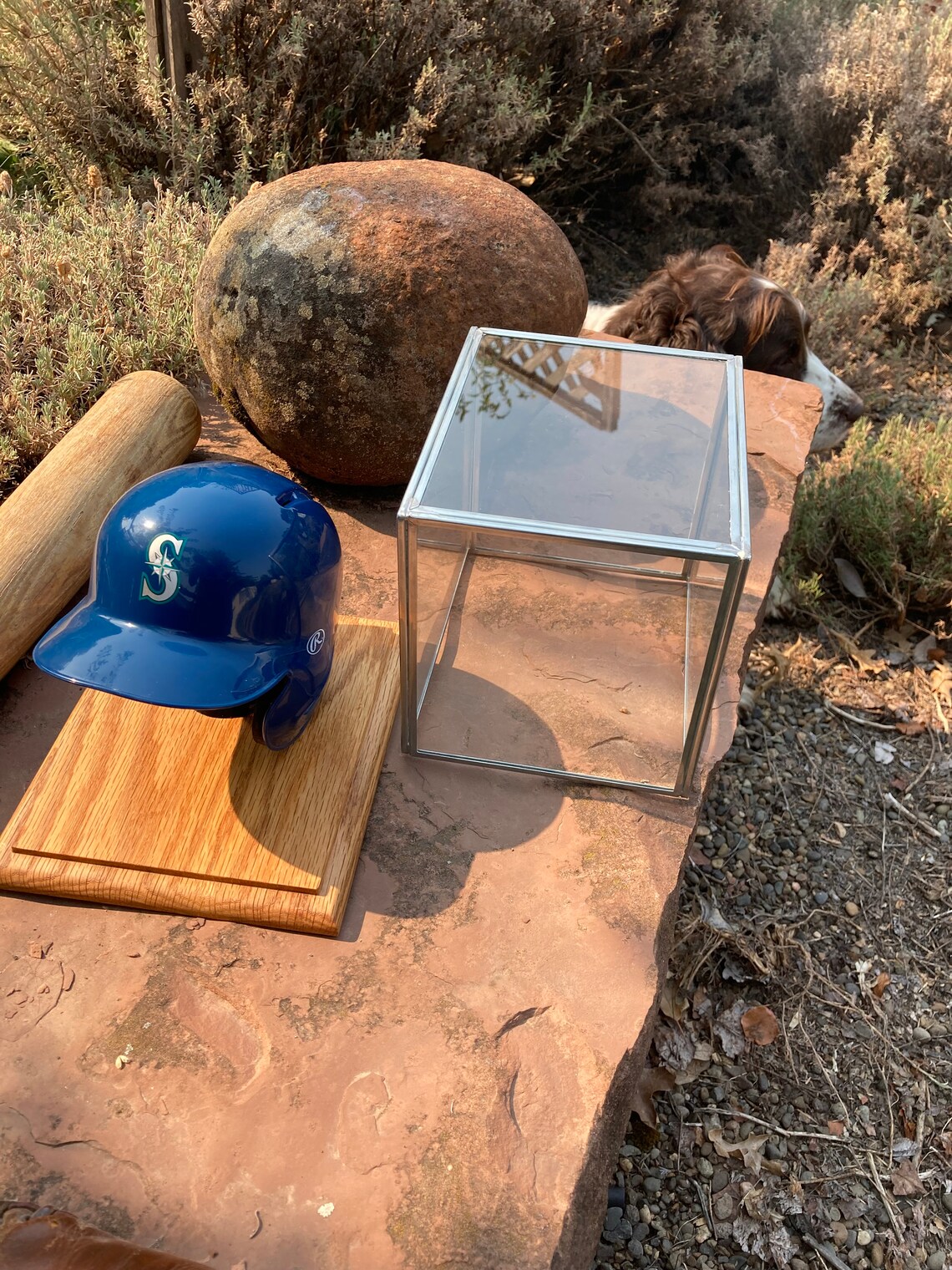 Mini Baseball Helmet Display Case, Memorabilia Display Case, Collector ...