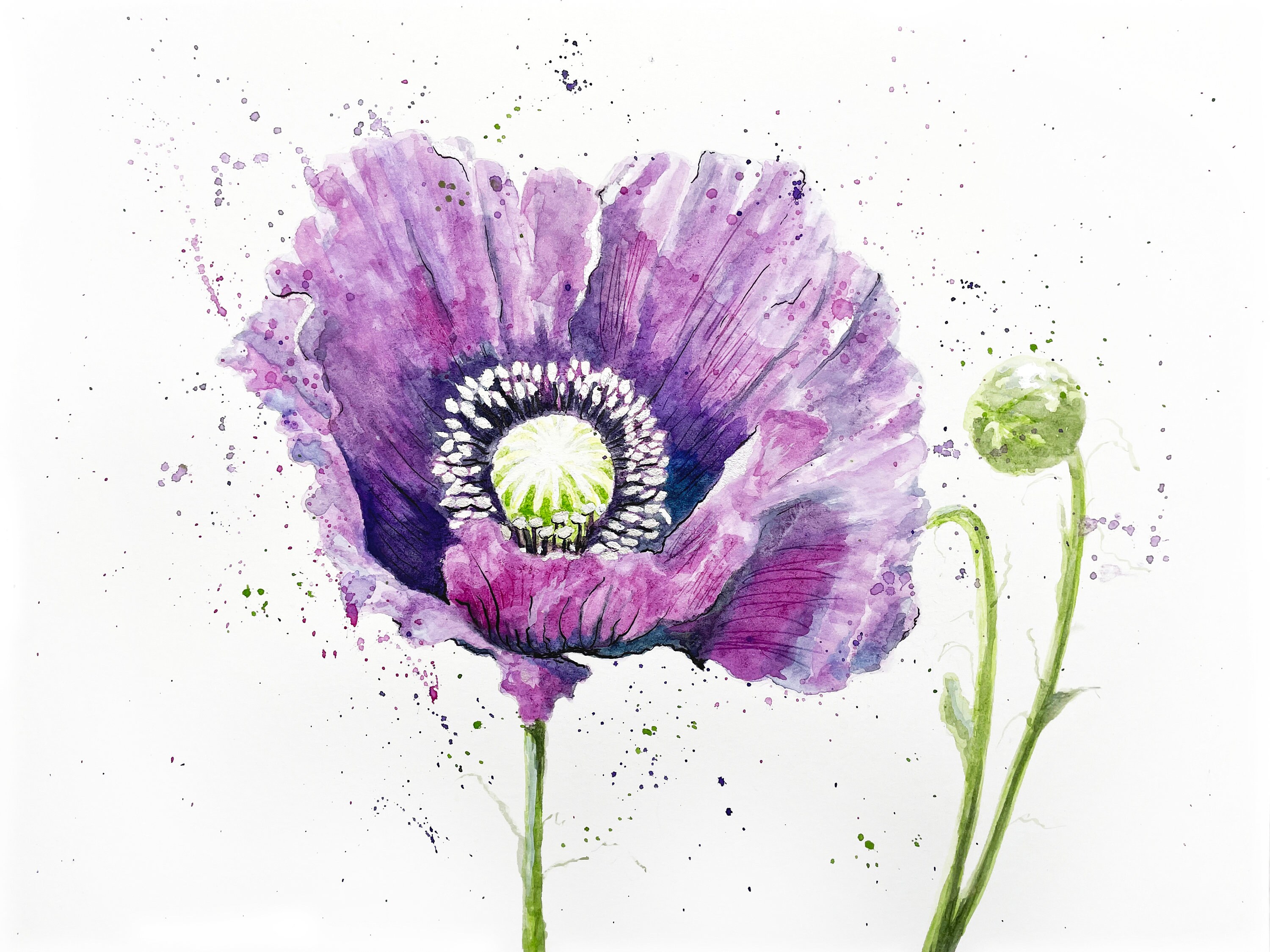Purple Poppy Painting