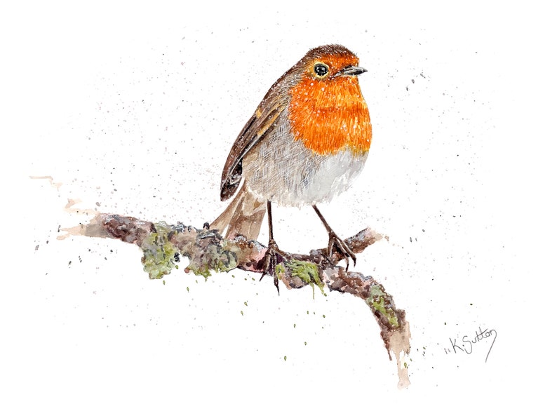 Robin Print Red Robin Watercolour Print A4 Original Wall - Etsy UK