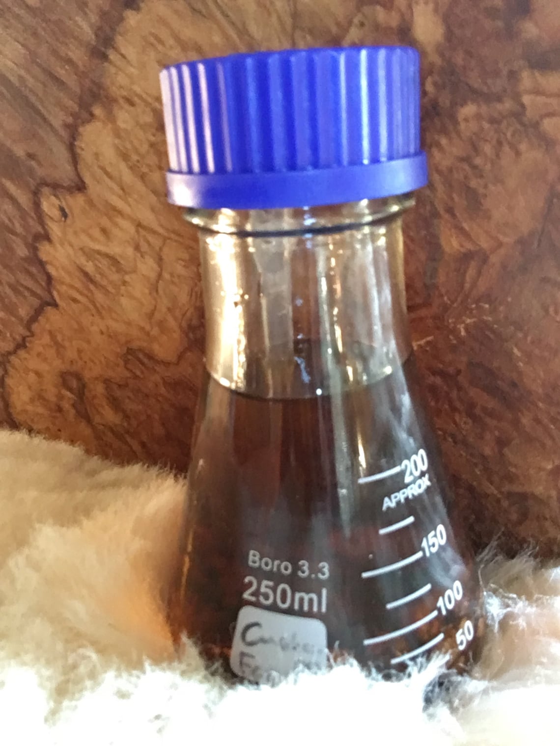 Castorium beaver castor feromonas activas muy fuertes envejecidas 8 ...