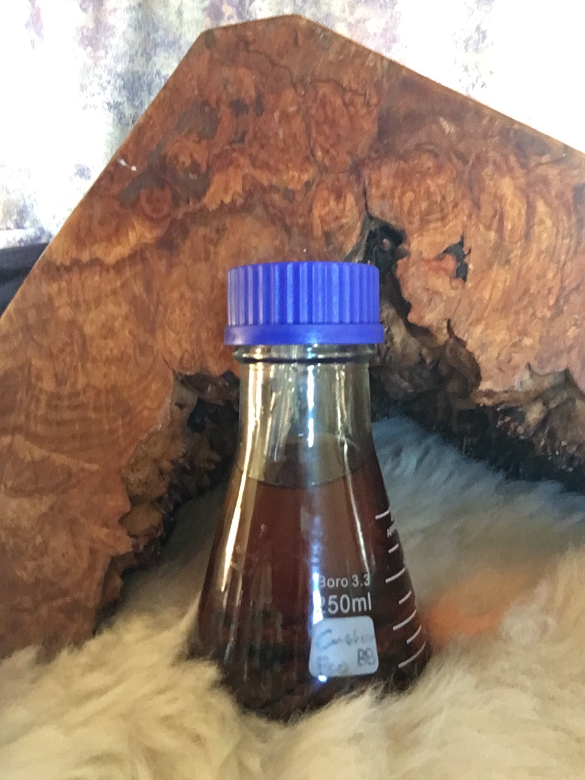 Castorium beaver castor feromonas activas muy fuertes envejecidas 8 ...