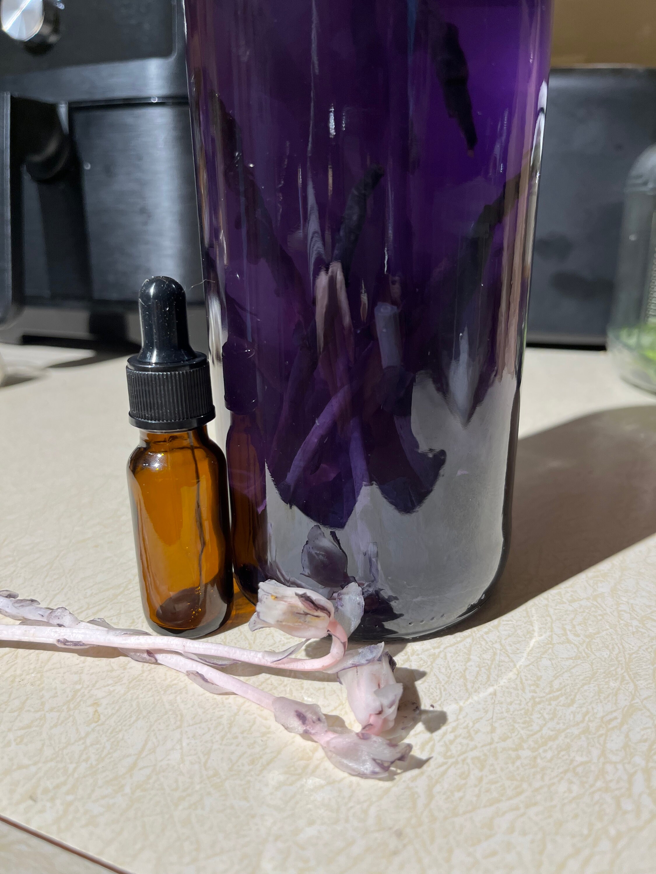 Ghost Flower Tincture monotropa Uniflora 15ml Dropper Bottle - Etsy