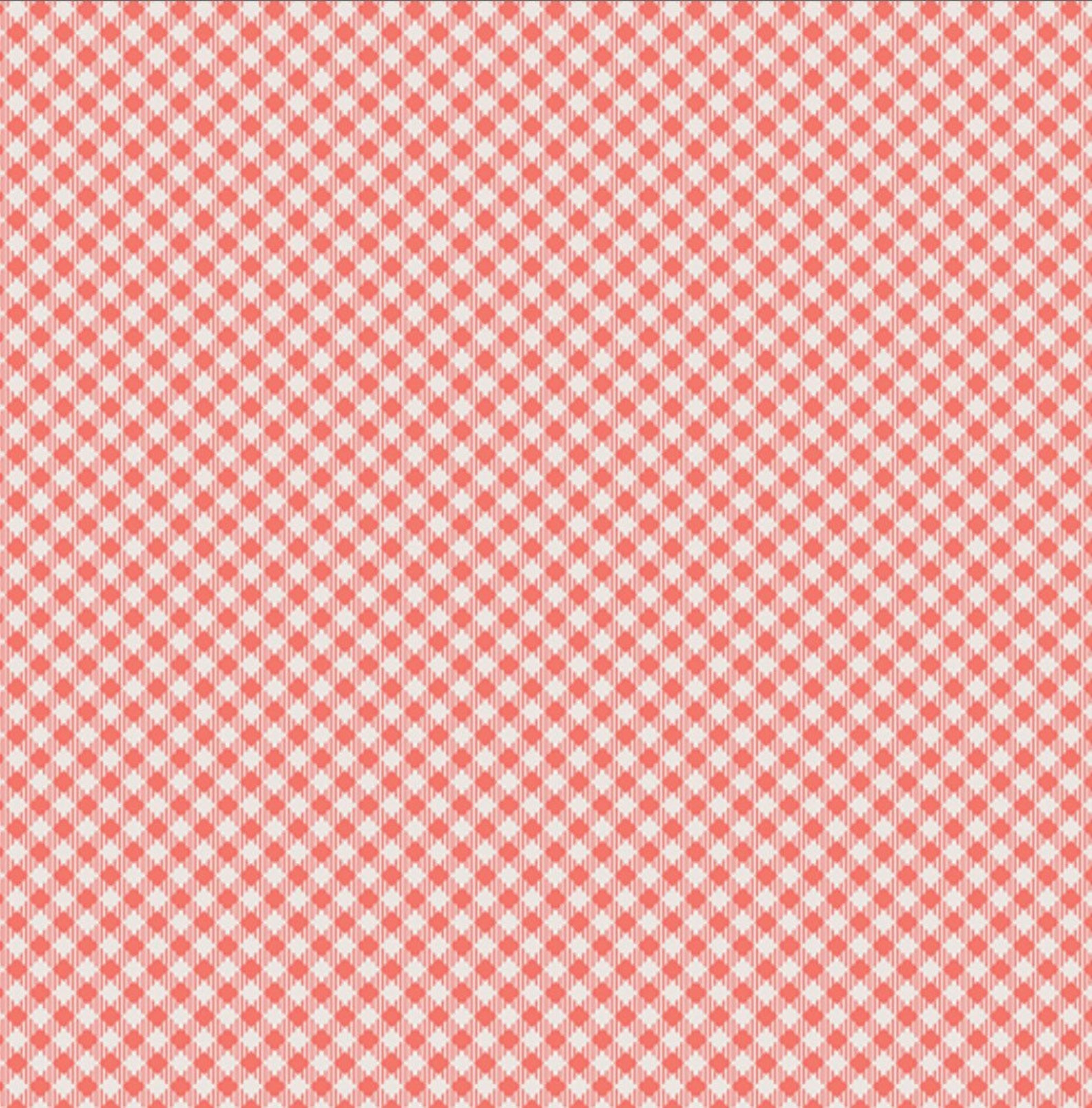 Petits Checks Coral Les Petits by Amy Sinbaldi for Art - Etsy