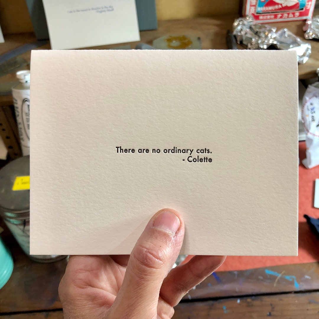 Colette- Cats (letterpress Greeting Card With Envelope) - Etsy