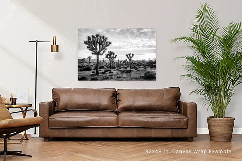 Fine Art Print Joshua Tree Photography Print Desert Wall Art Joshua ...