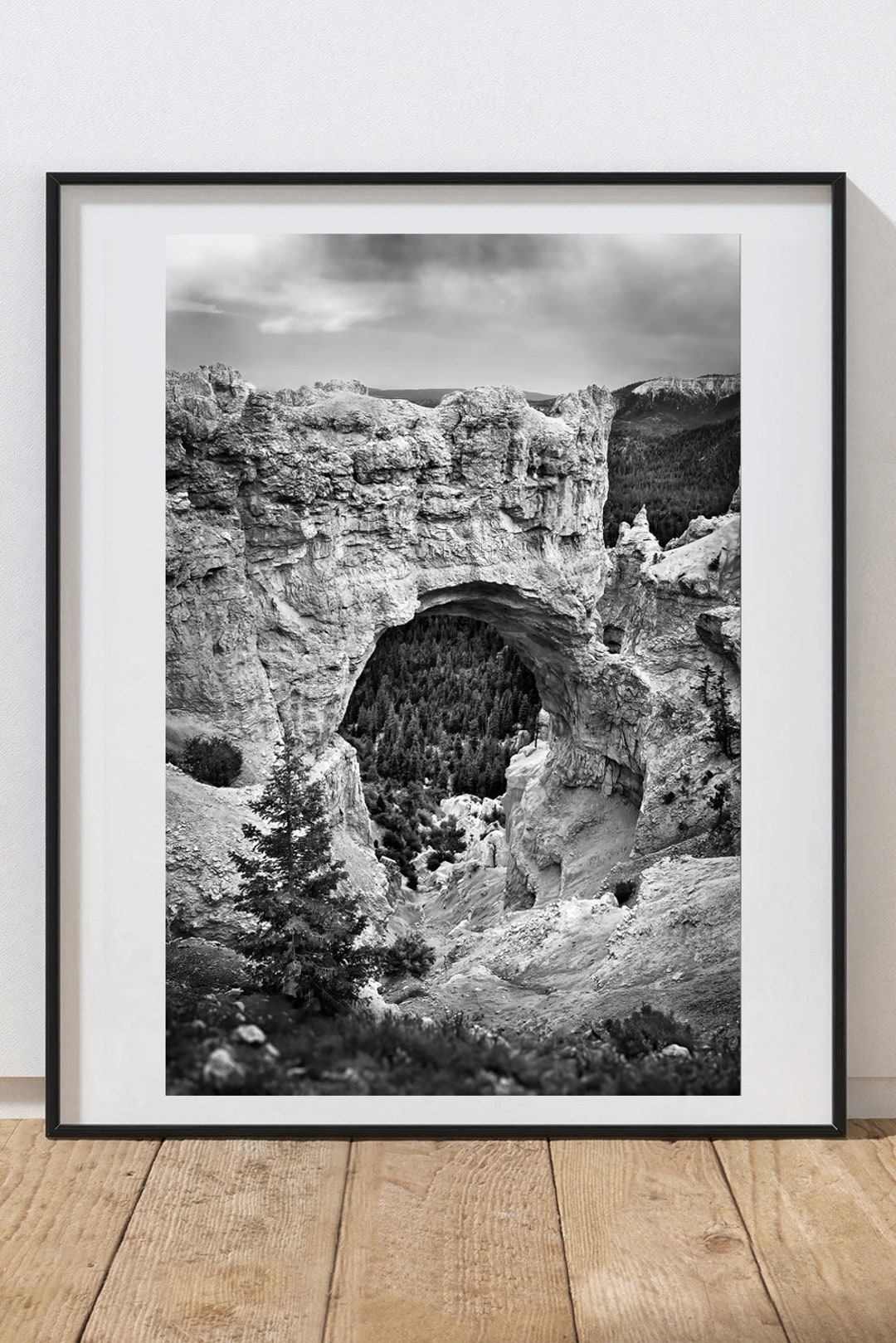 Bryce Canyon Black and White Photography Print Utah Art Print Desert ...