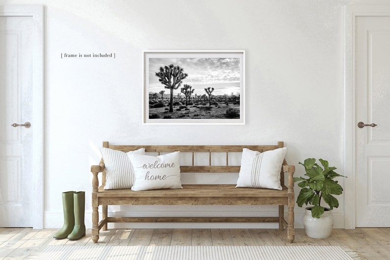 Fine Art Print Joshua Tree Photography Print Desert Wall Art Joshua ...