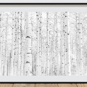 Aspen Tree Wall Art Aspen Grove Print Black and White Photography Aspen ...