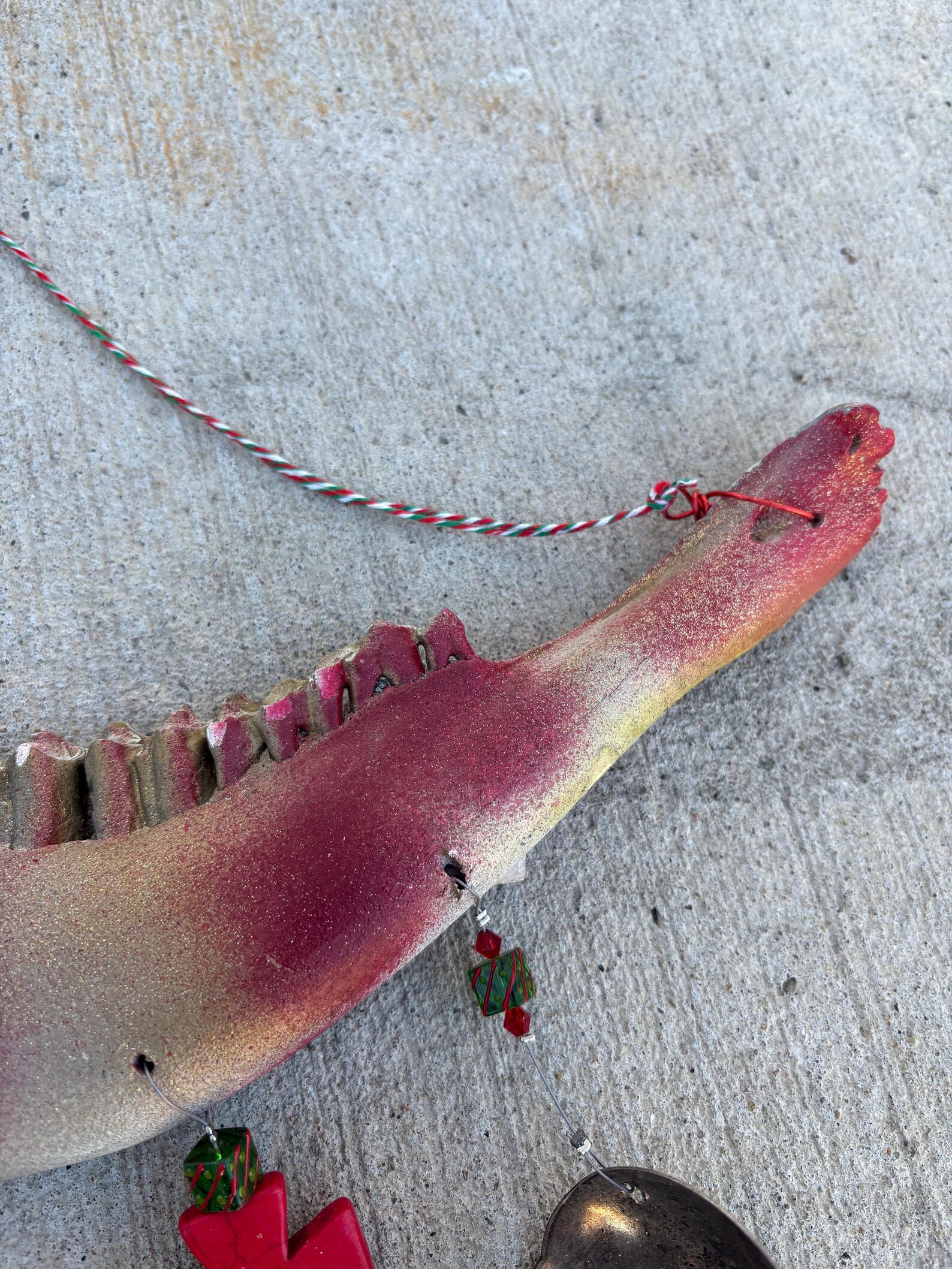 Cow Bone Jaw Decor, Christmas Home Decor, Gifts for Rancher, Ranchers ...