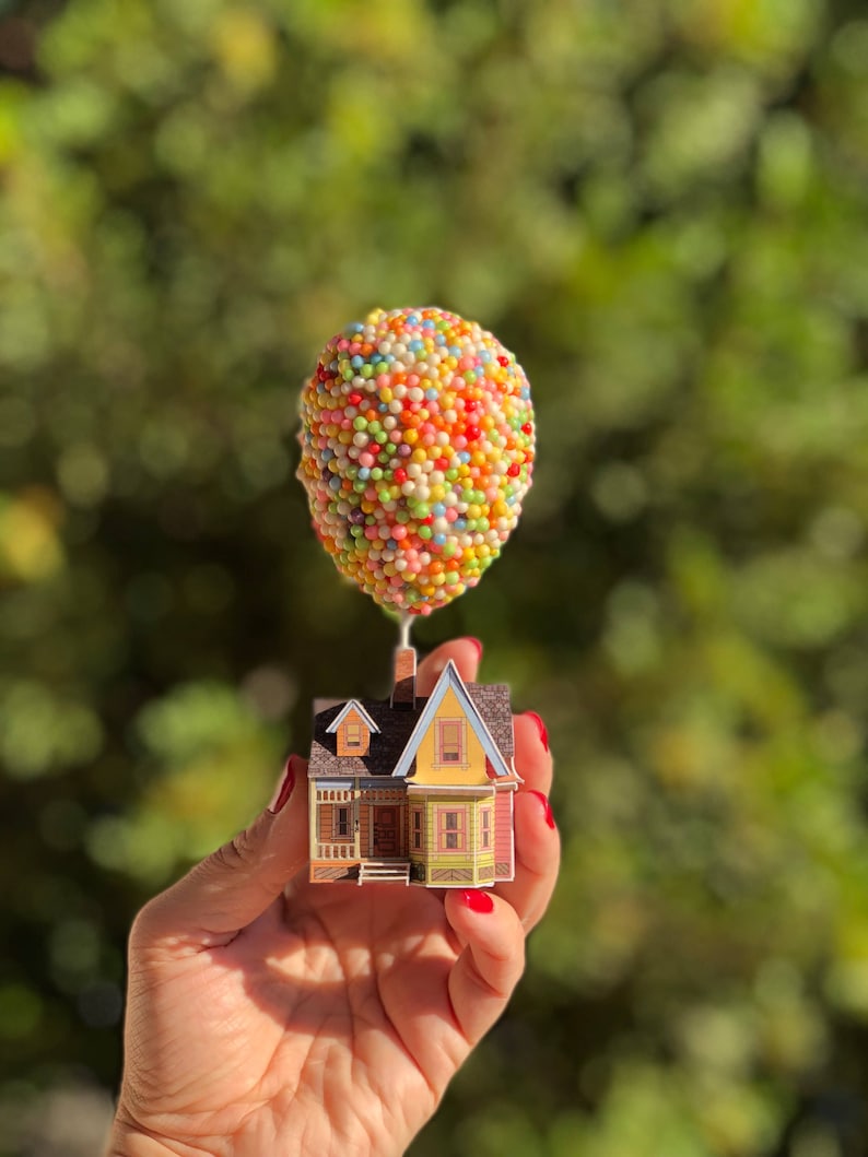 Mini up House With Balloons - Etsy