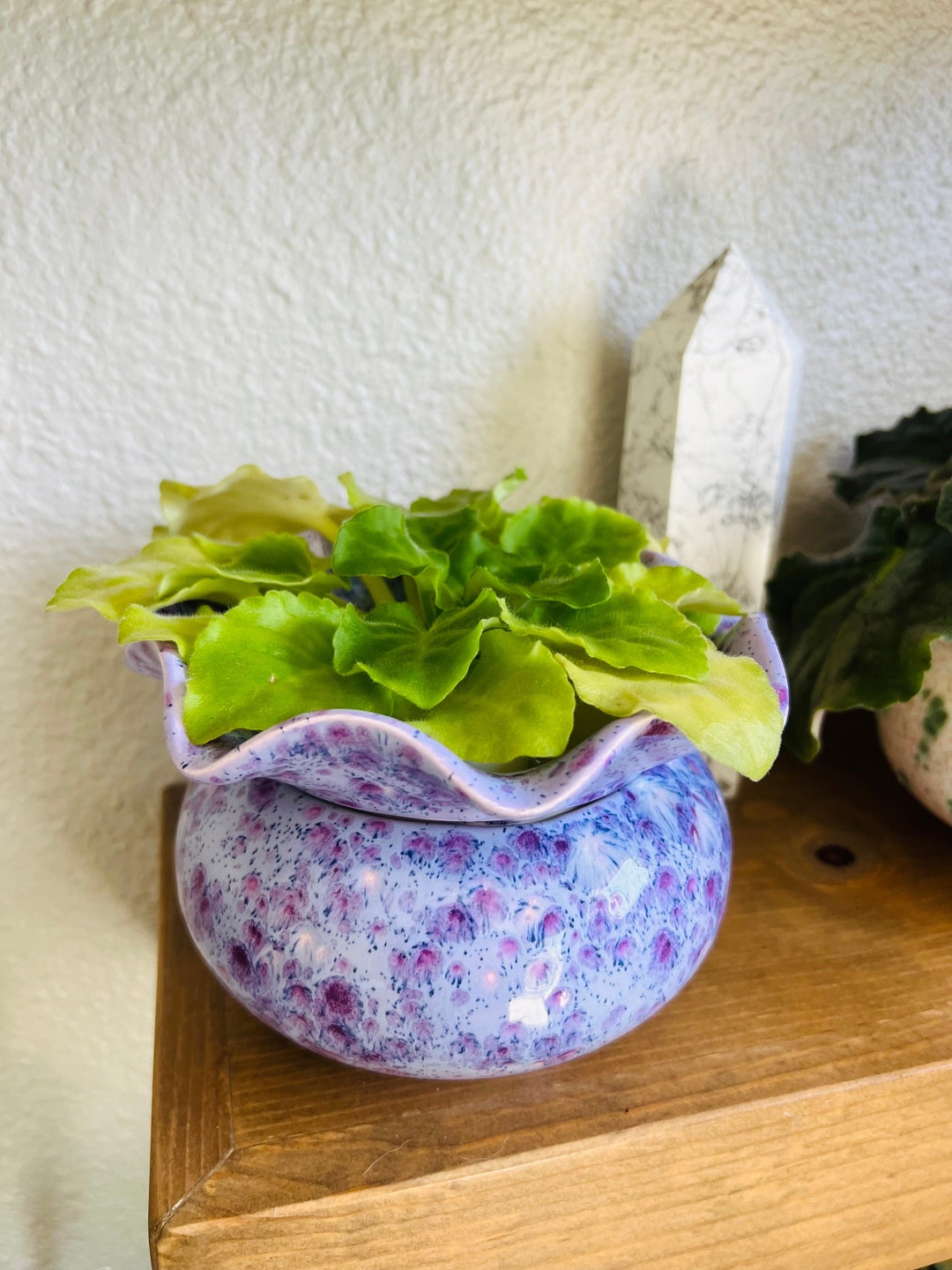 African Violet Pot, Large - Self Watering Pot - Violet Pot - Houseplant ...
