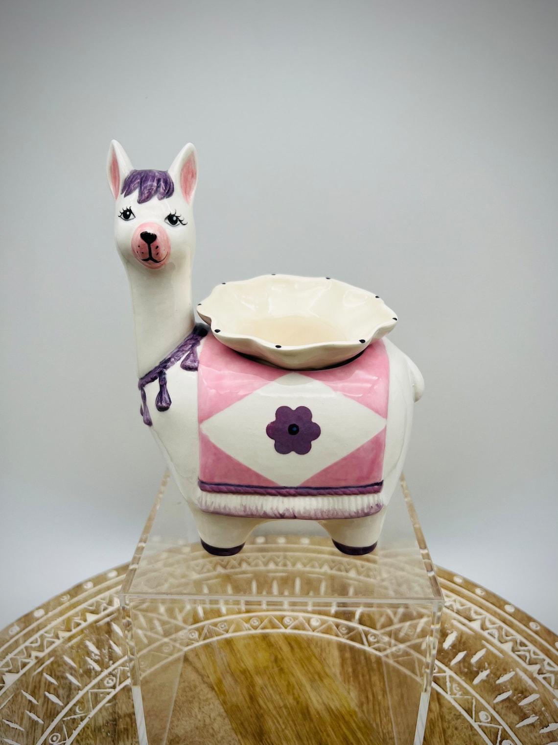African Violet Pot - Miniature - Llama Self Watering - African Violet ...