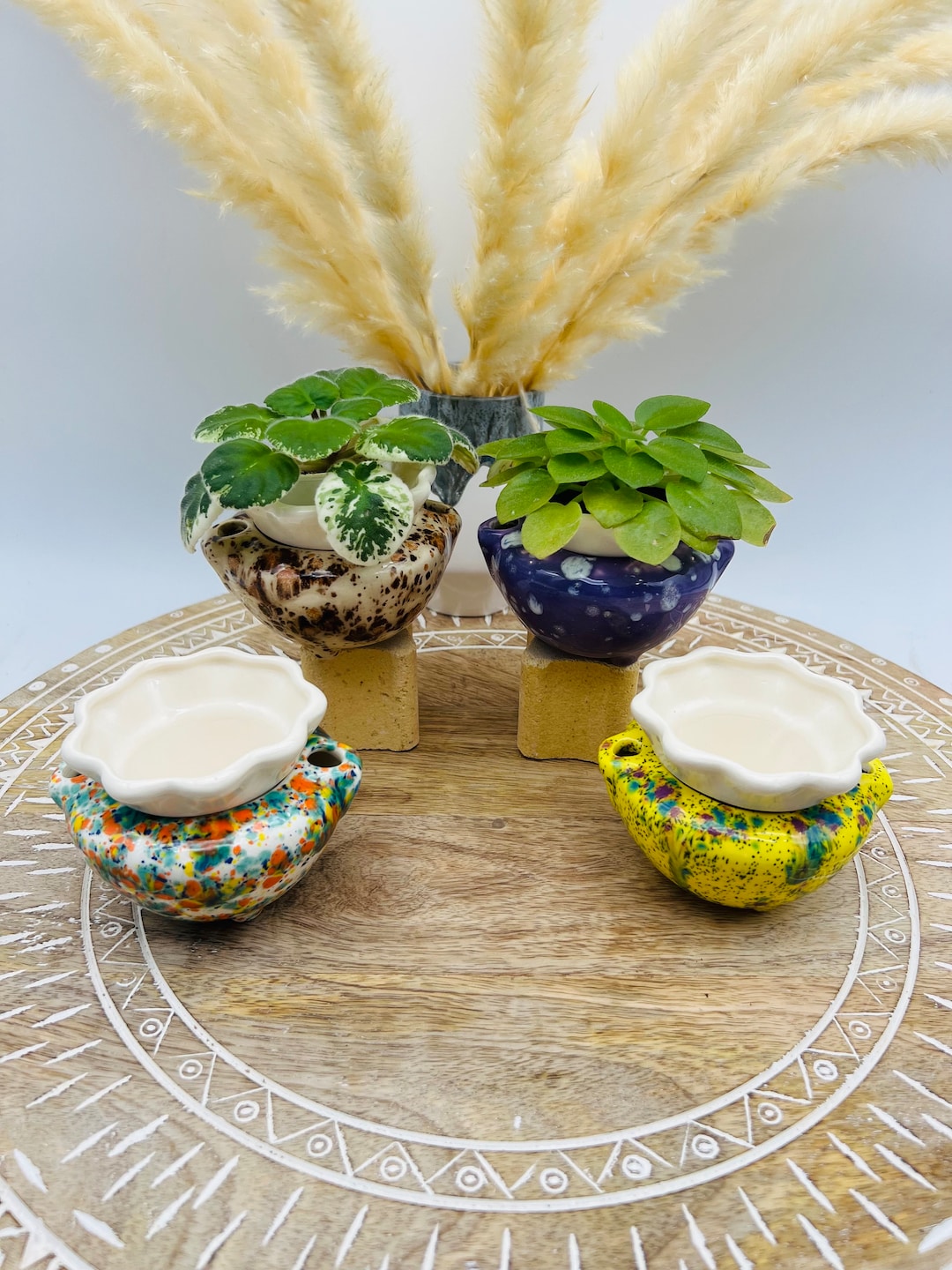 African Violet Pot for Leaf Propagating, Itty Bitty Pot, Indoor Planter ...