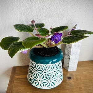 African Violet Pot - 4" Standard Violet Pot - Self Watering Pot ...