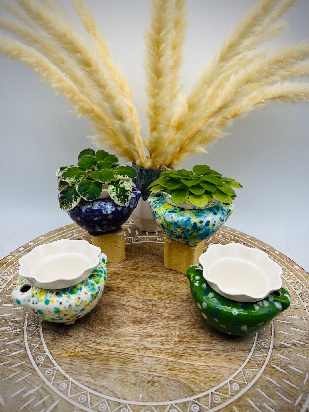 African Violet Ceramic Self Watering Pot, Mini, Miniature, Planter ...