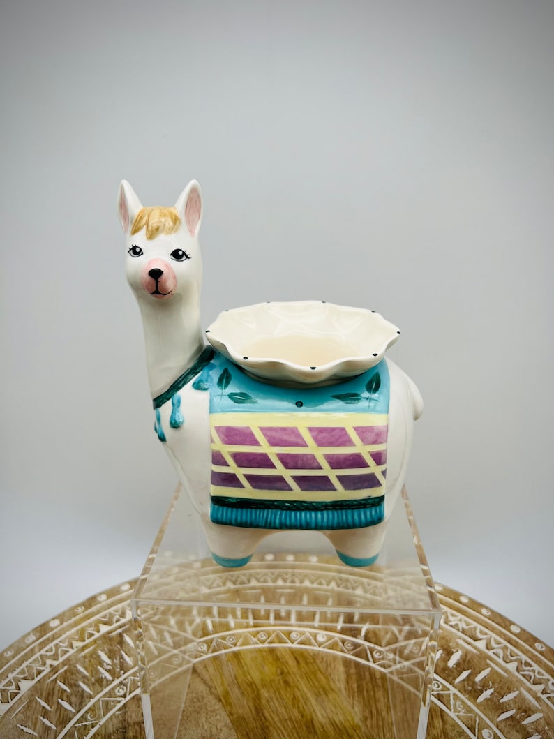 African Violet Pot Miniature Llama Self Watering African - Etsy