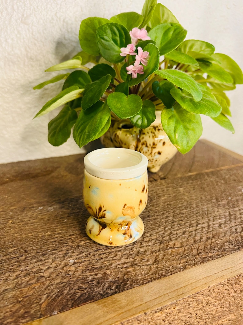 African Violet Pot for Leaf Propagating, Extra Mini Pot, Indoor Planter ...