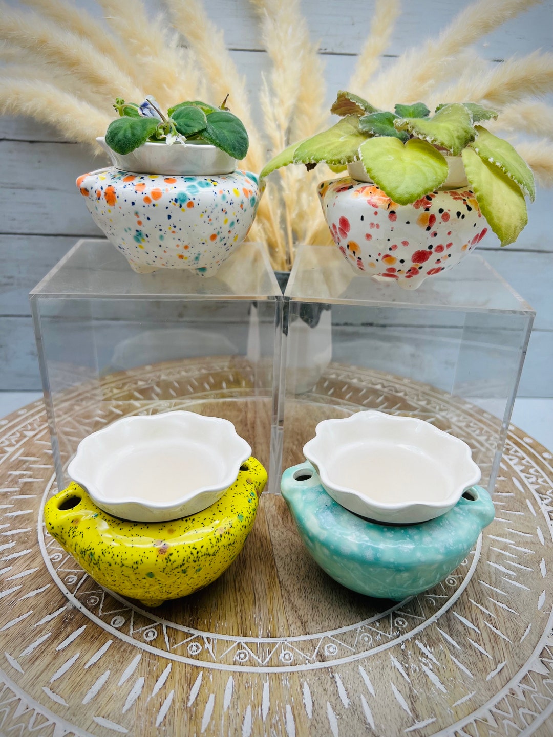 African Violet Ceramic Self Watering Pot, Mini, Miniature, Planter ...