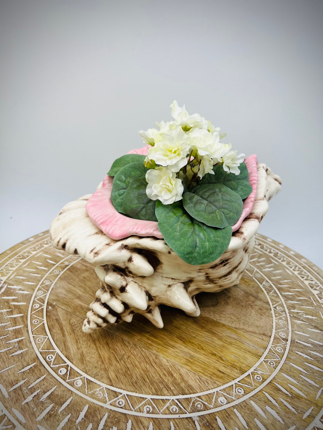 Ceramic Violet Pot With Insert - Large African Violet Pot - Self ...
