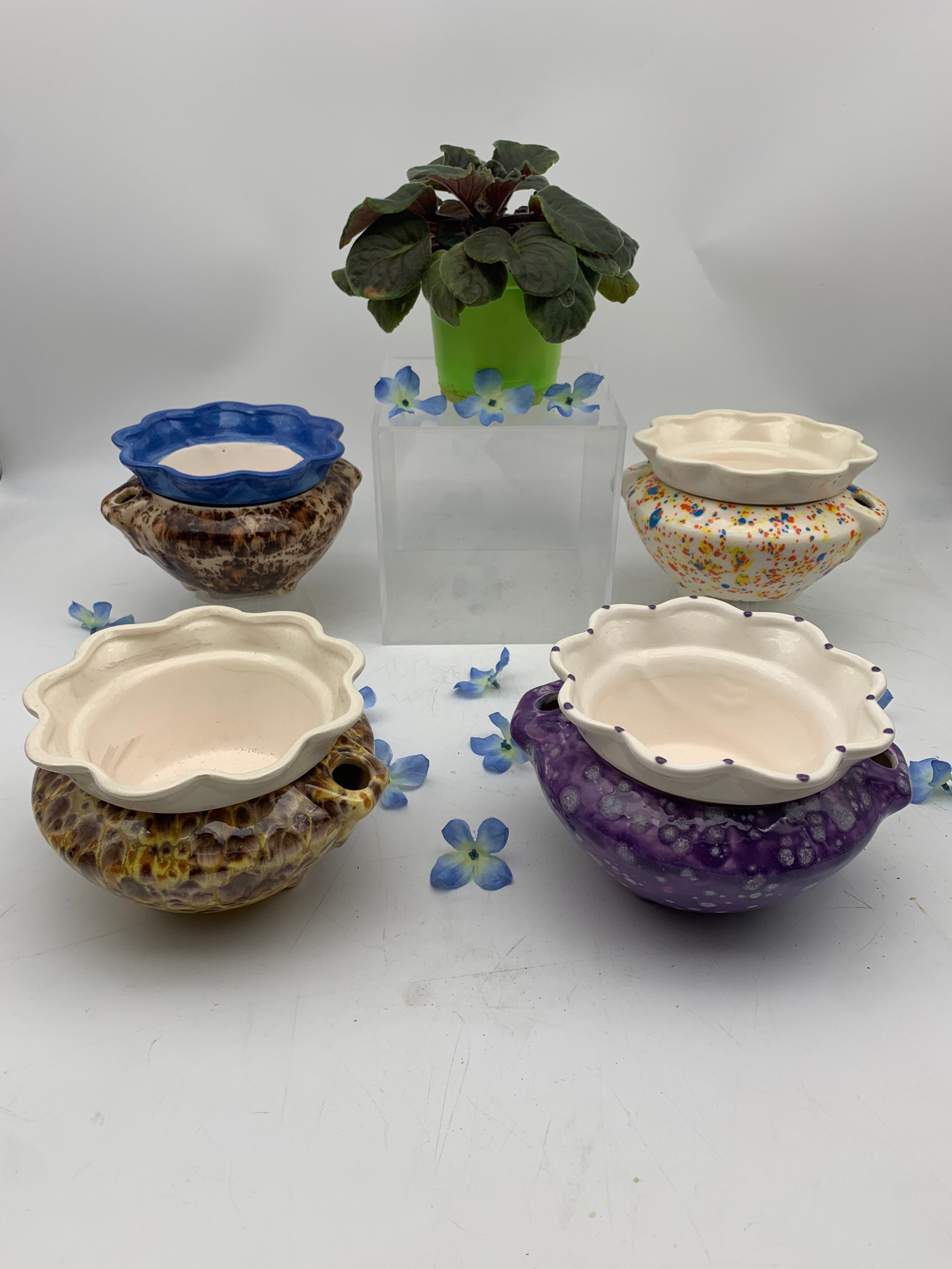Medium Self Watering African Violet Pot Planter Etsy