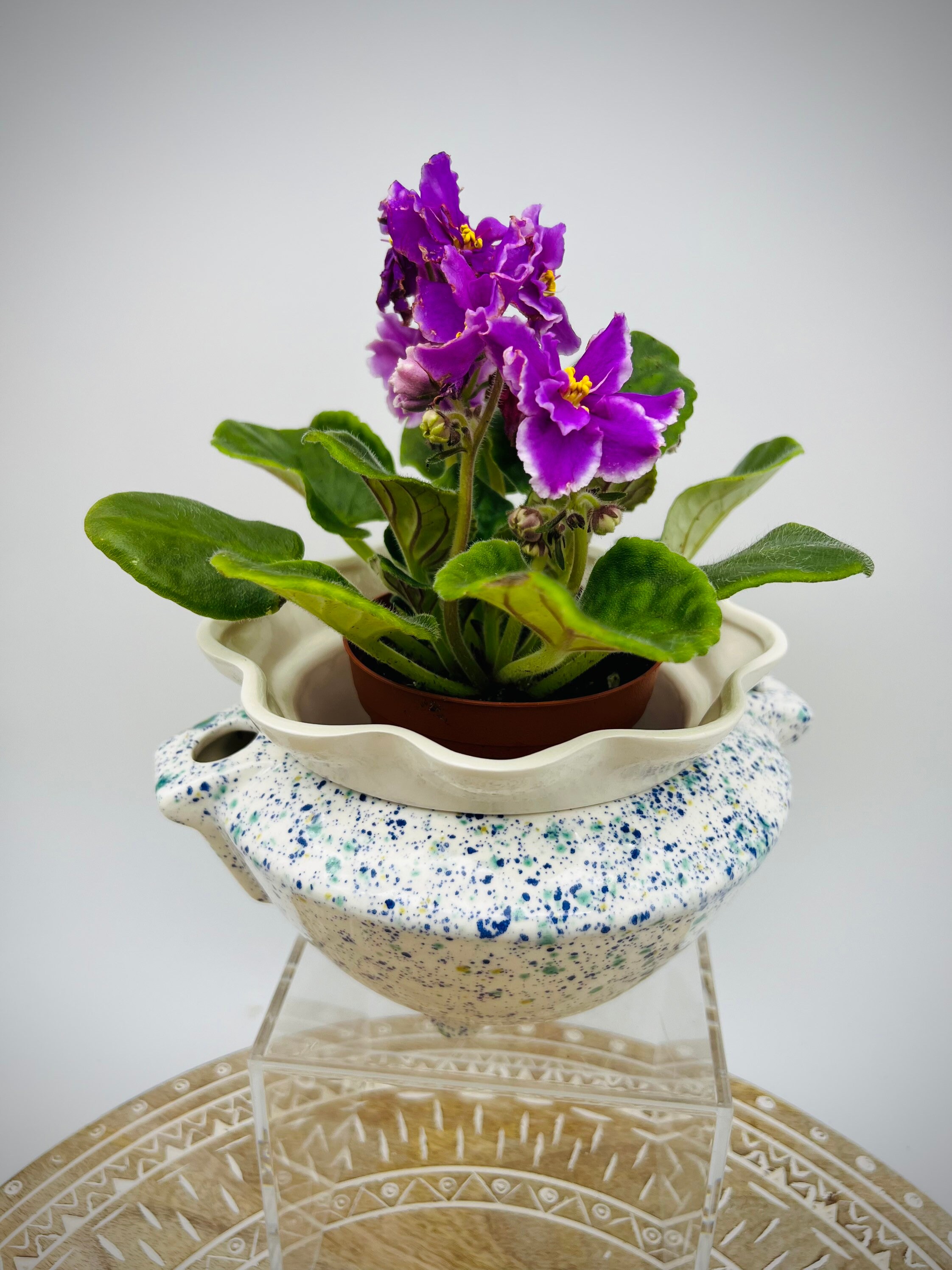 African Violet Pot Large Self Watering Pot Violet Pot House Plant Planter Unique Gift Ceramic Handmade Gift IN STOCK Etsy