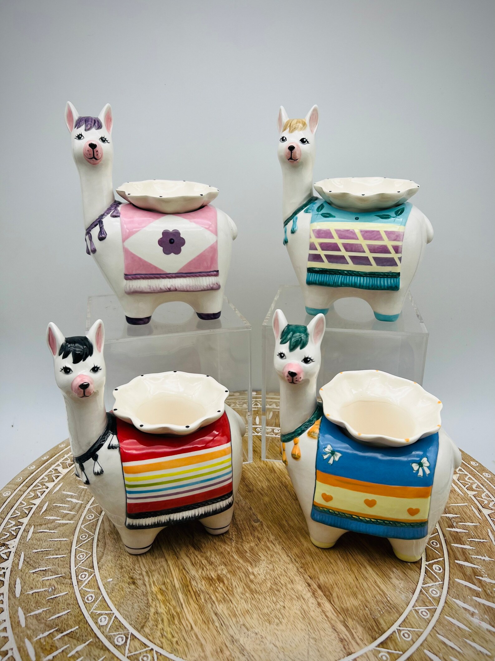 African Violet Pot Miniature Llama Self Watering African - Etsy