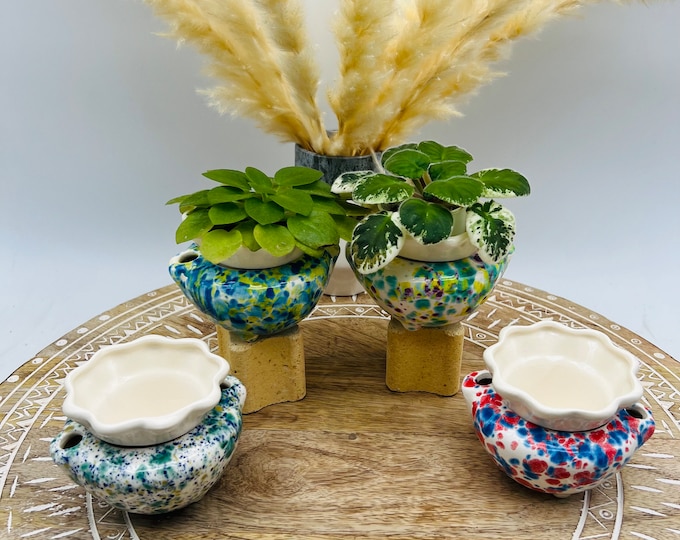 African Violet Pot for Leaf Propagating, Itty Bitty Pot, Indoor Planter ...