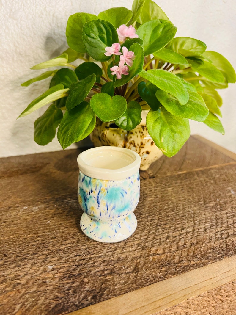 African Violet Pot for Leaf Propagating, Extra Mini Pot, Indoor Planter ...