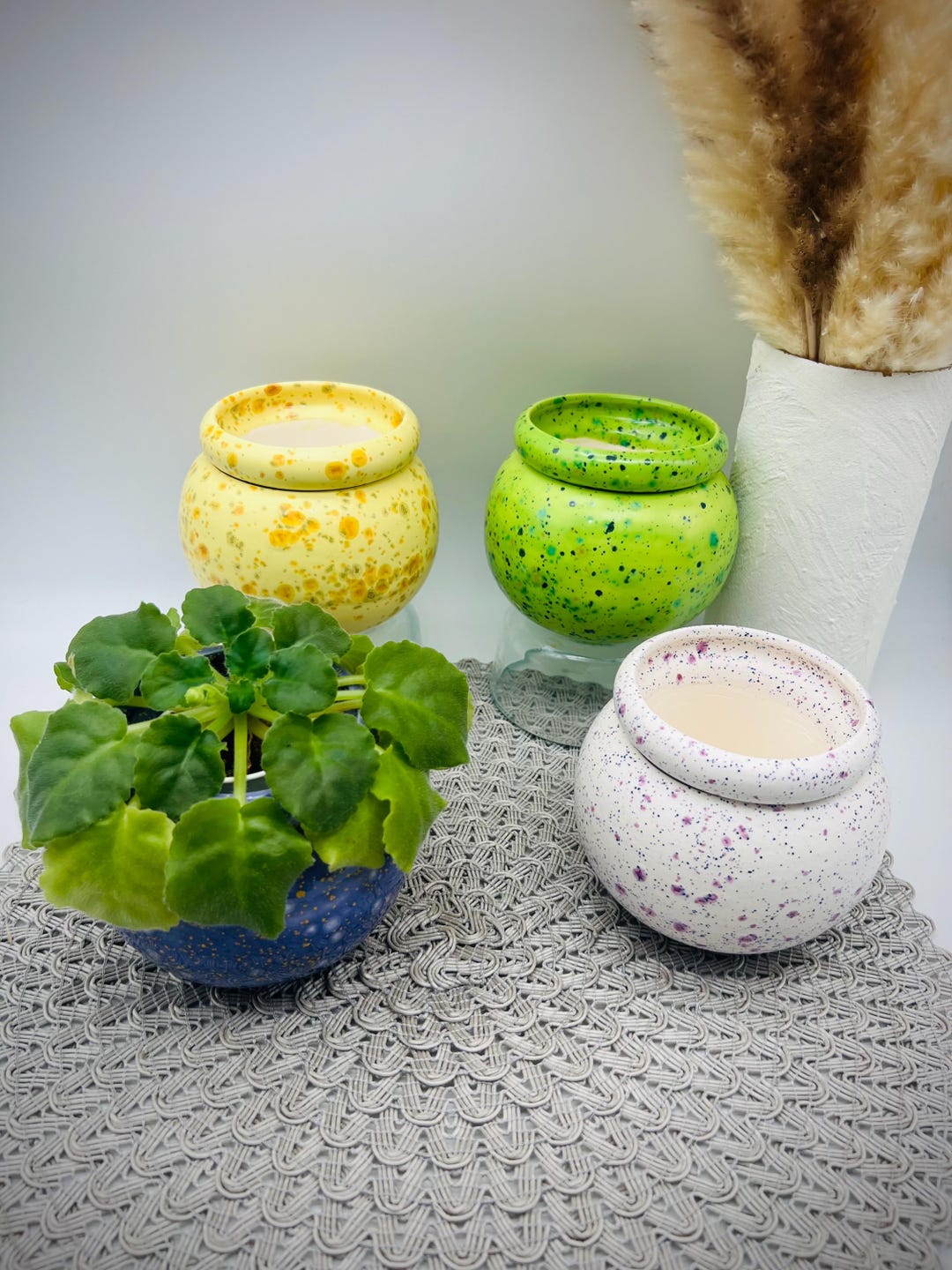 African Violet Plant Pot, African Violet Ceramic Pot, Self Watering Pot ...