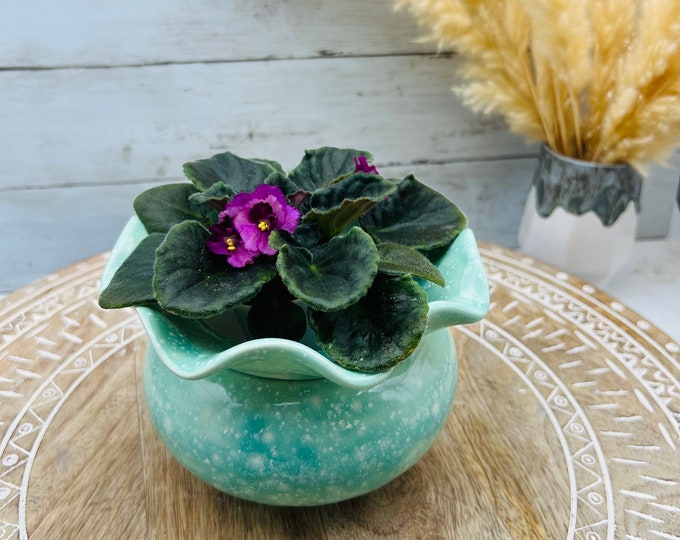 African Violet Pot, Medium - Self Watering Pot - Violet Pot ...