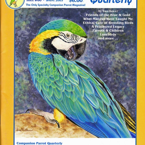 Mini-blue and Gold Macaw Pattern | Etsy