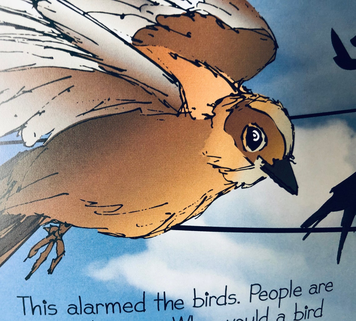 Feathers a Children's Book Written and Illustrated by Julie L. Rabun ...