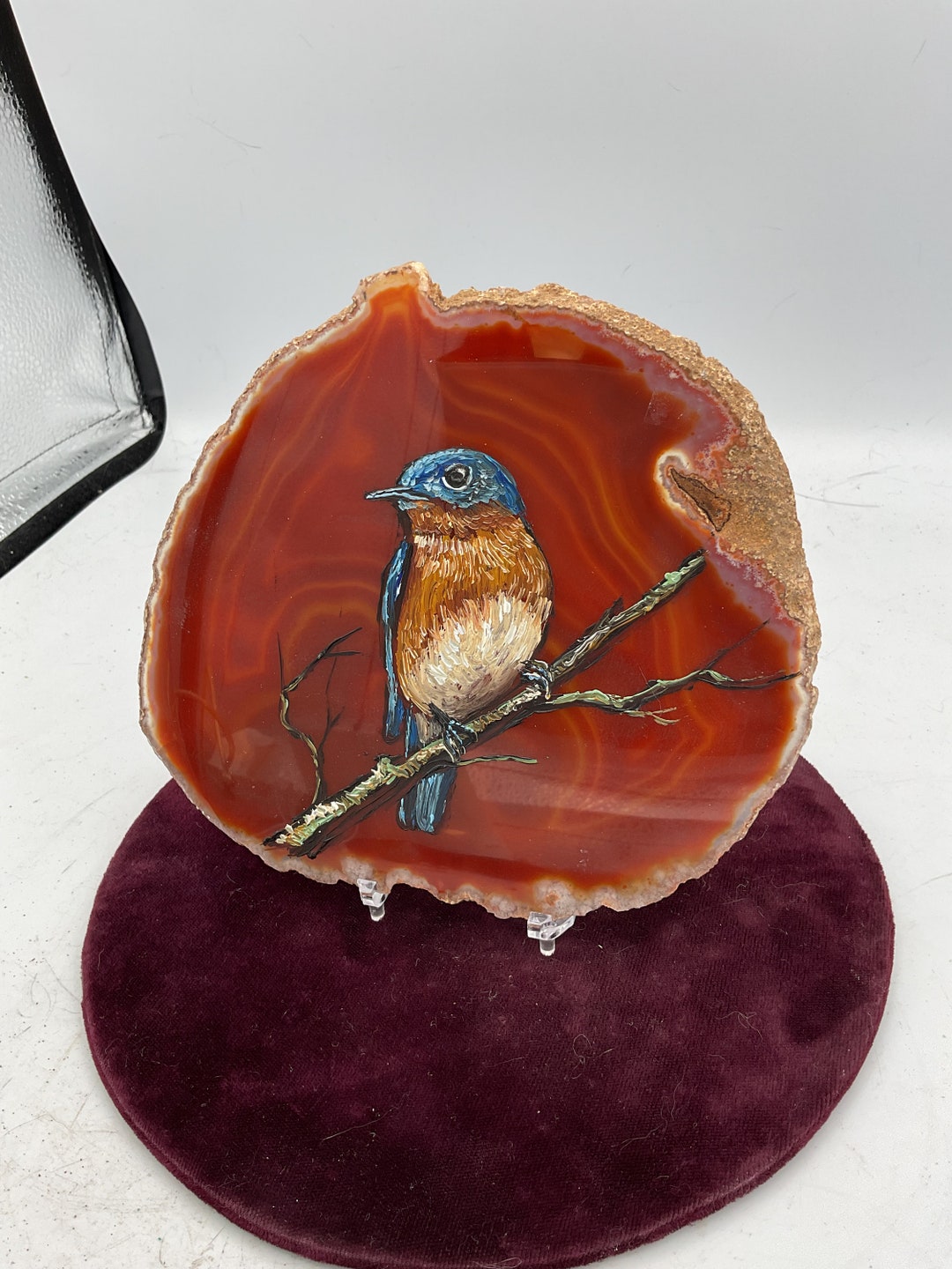 Blue Bird on Brazilian Agate - Etsy